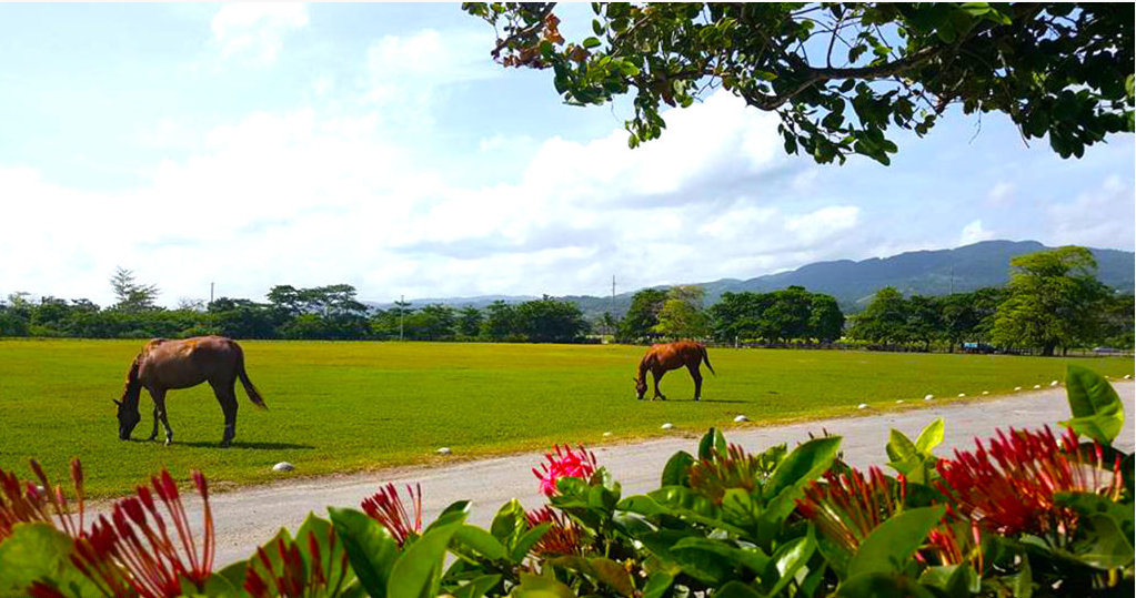 Chukka Cove & Cliffs at Llandovery