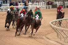 Delta Downs Racetrack Casino and Hotel/Vinton