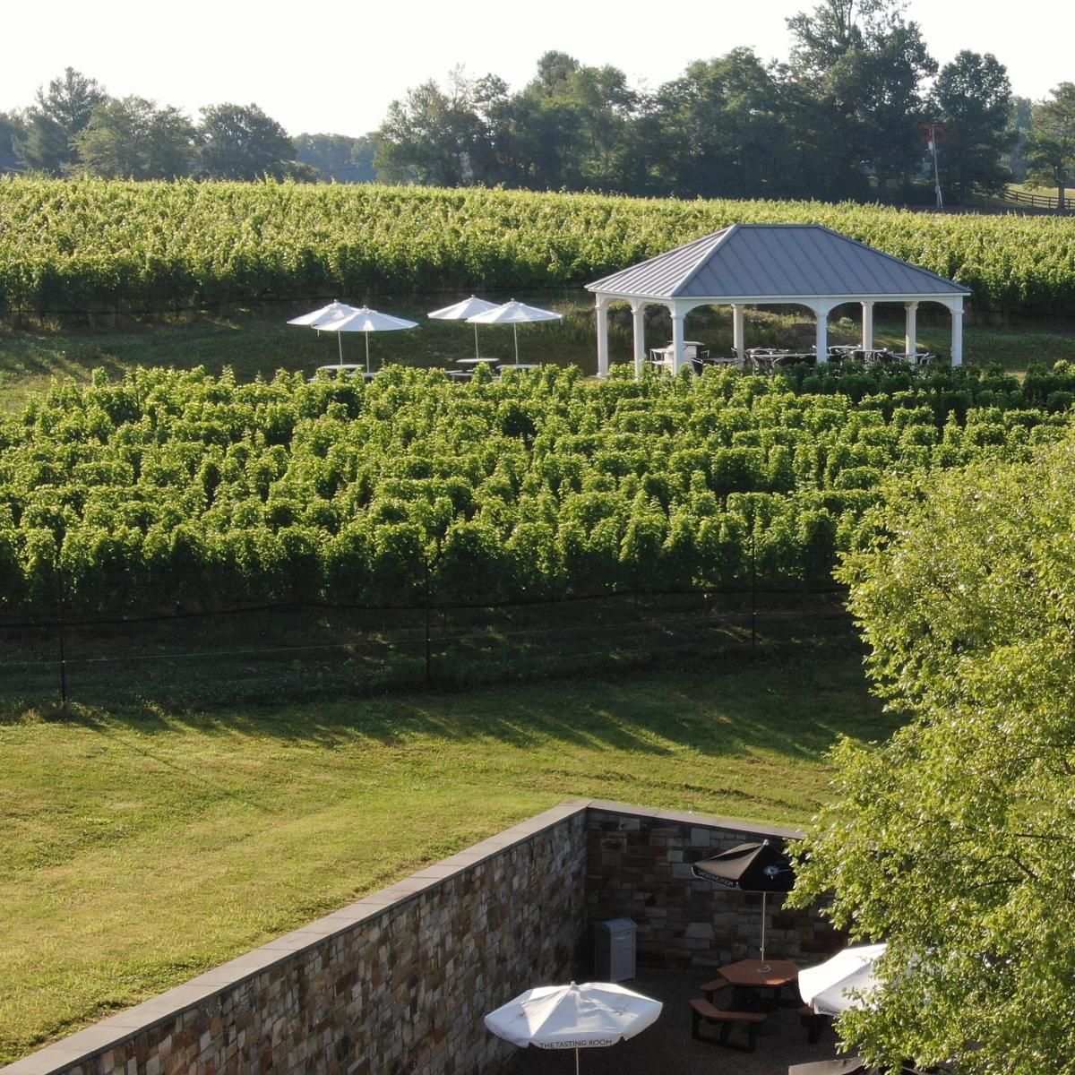 Boxwood Estate Winery | Middleburg, VA 20117