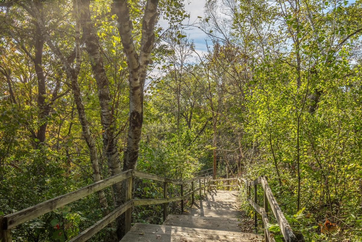 Indian Lake County Park