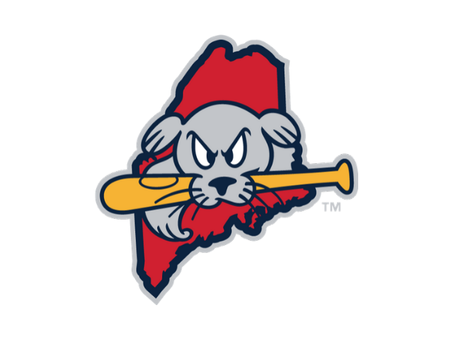 Portland Sea Dogs Baseball | Portland, ME 04102