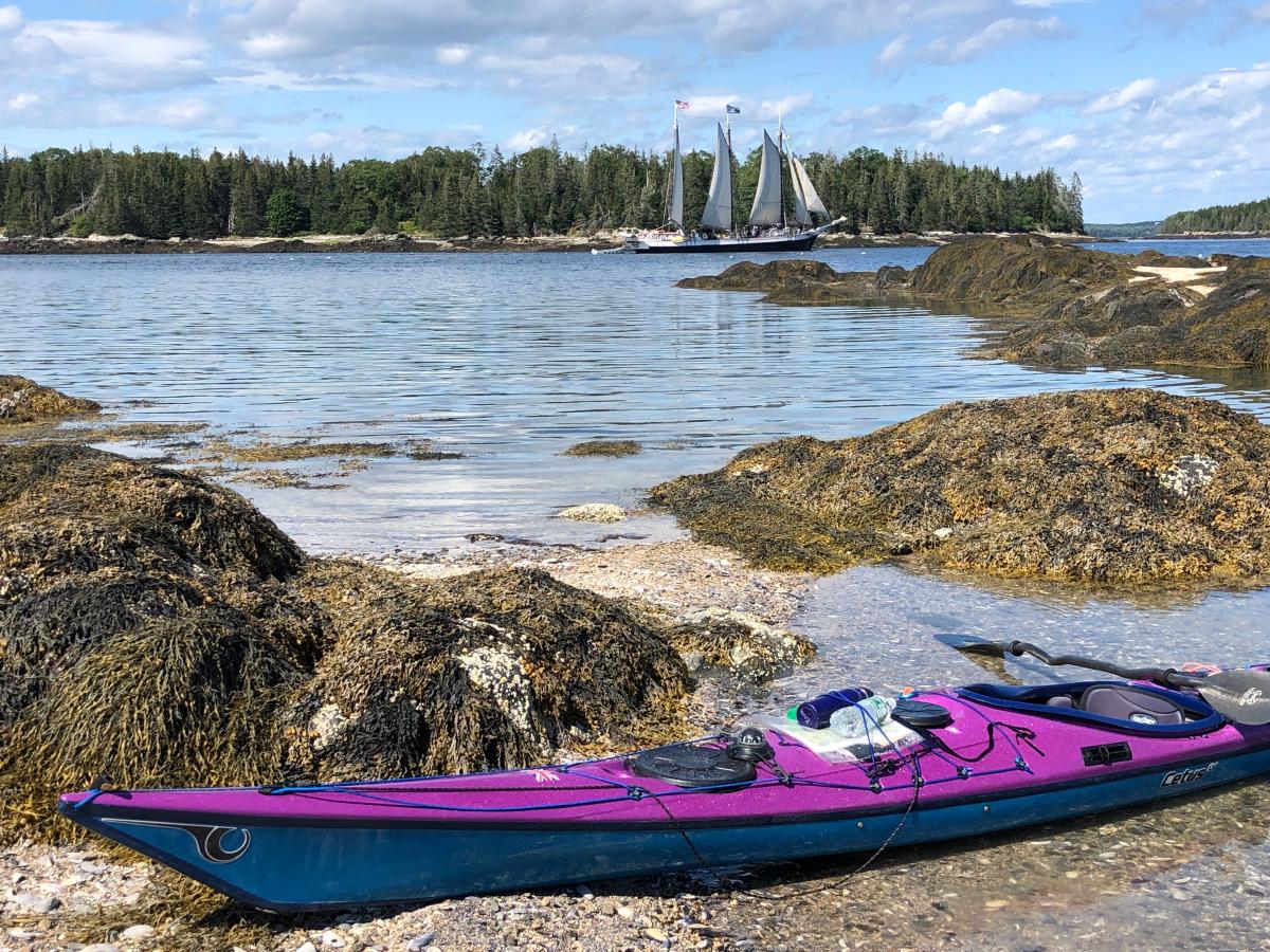 Castine Kayak Adventures | Castine, ME 04421