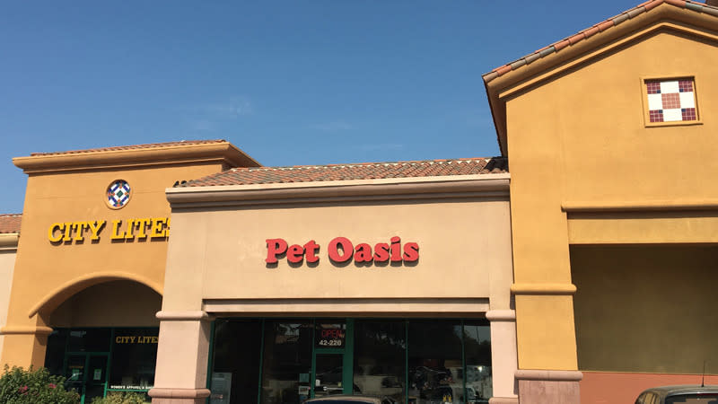 Pet Oasis