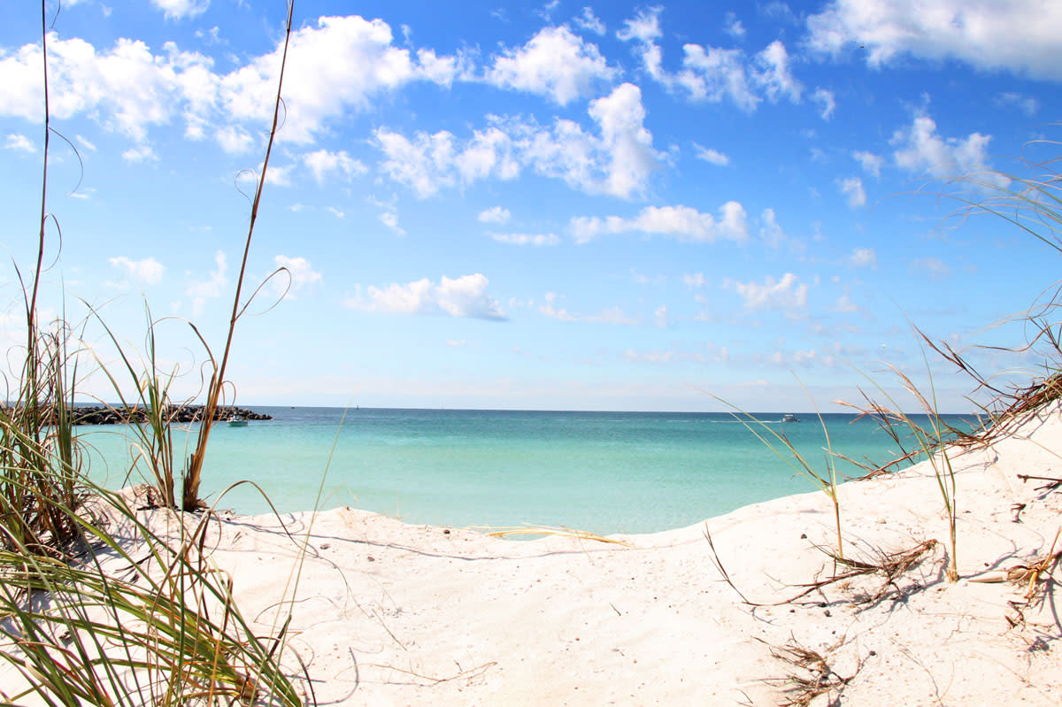 Shell Island Shuttle | Panama City, FL 32408