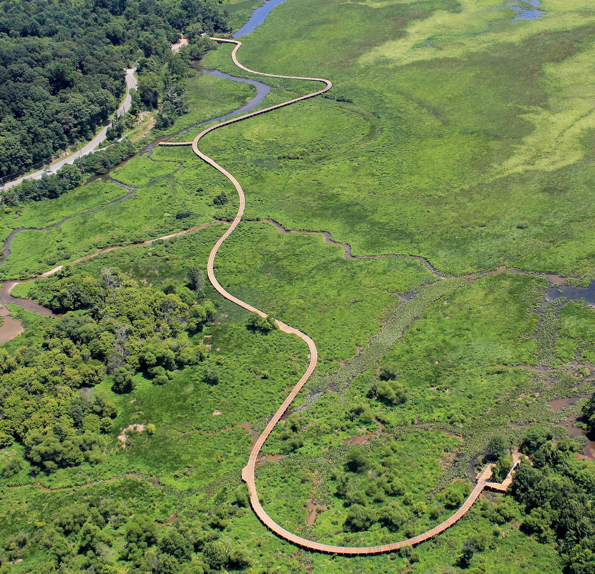 Neabsco Creek Boardwalk