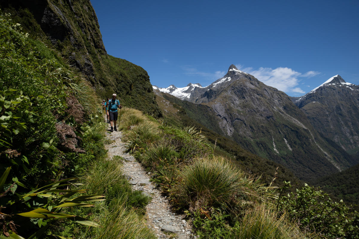 Milford Track 5 day/4 night guided walk | Official Queenstown Website