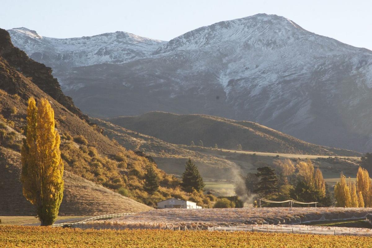 Mt Rosa Wines | Official Queenstown Website