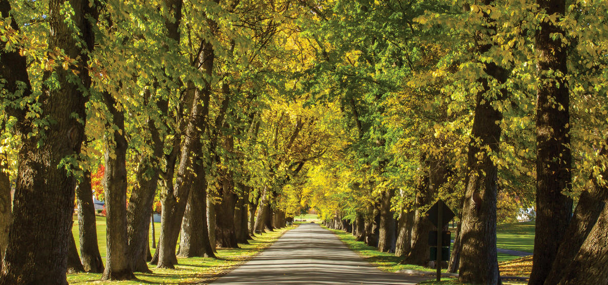 Millbrook Resort | Official Queenstown Website