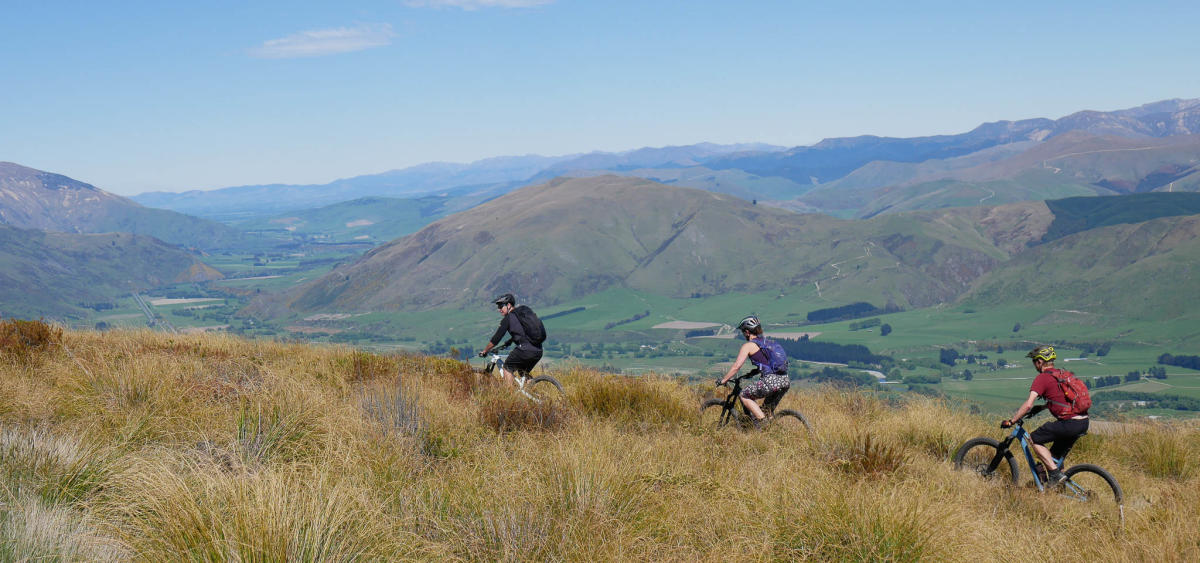 Private Mountain Biking Trips | Official Queenstown Website