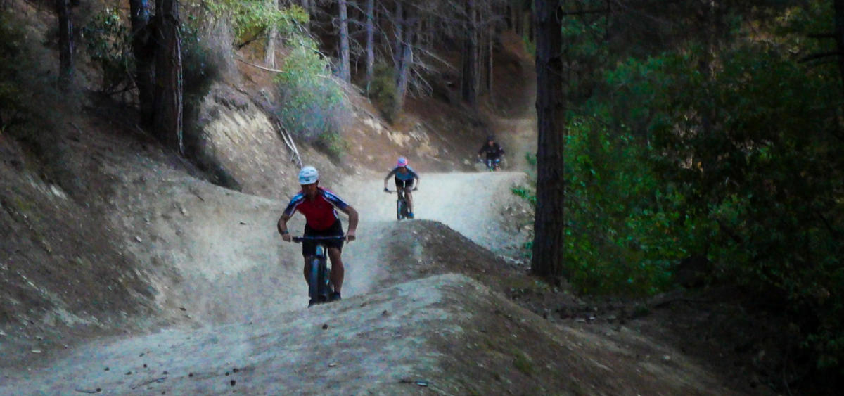 Private Mountain Biking Trips | Official Queenstown Website