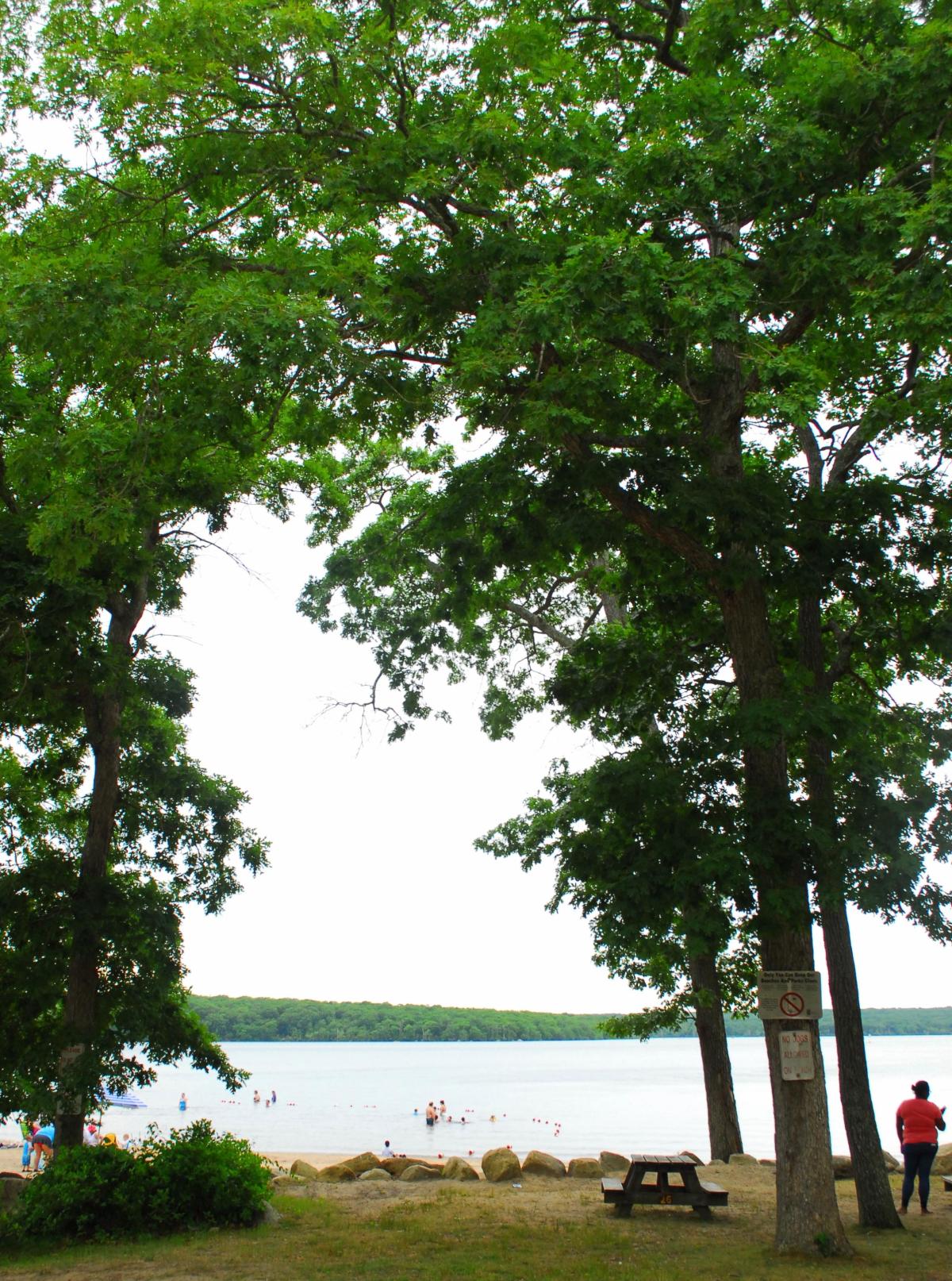 Watchaug Pond Beach | Charlestown, RI 02813