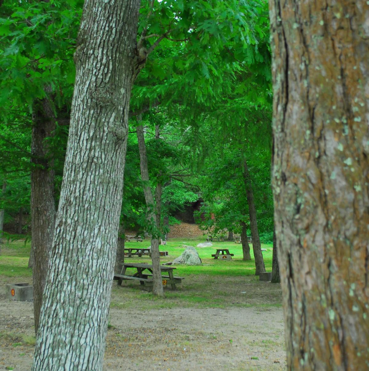 Watchaug Pond Beach | Charlestown, RI 02813