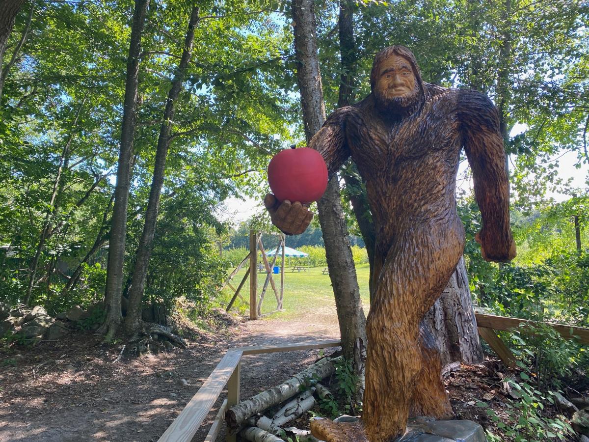 Narrow Lane Orchard | North Kingstown, RI 02852