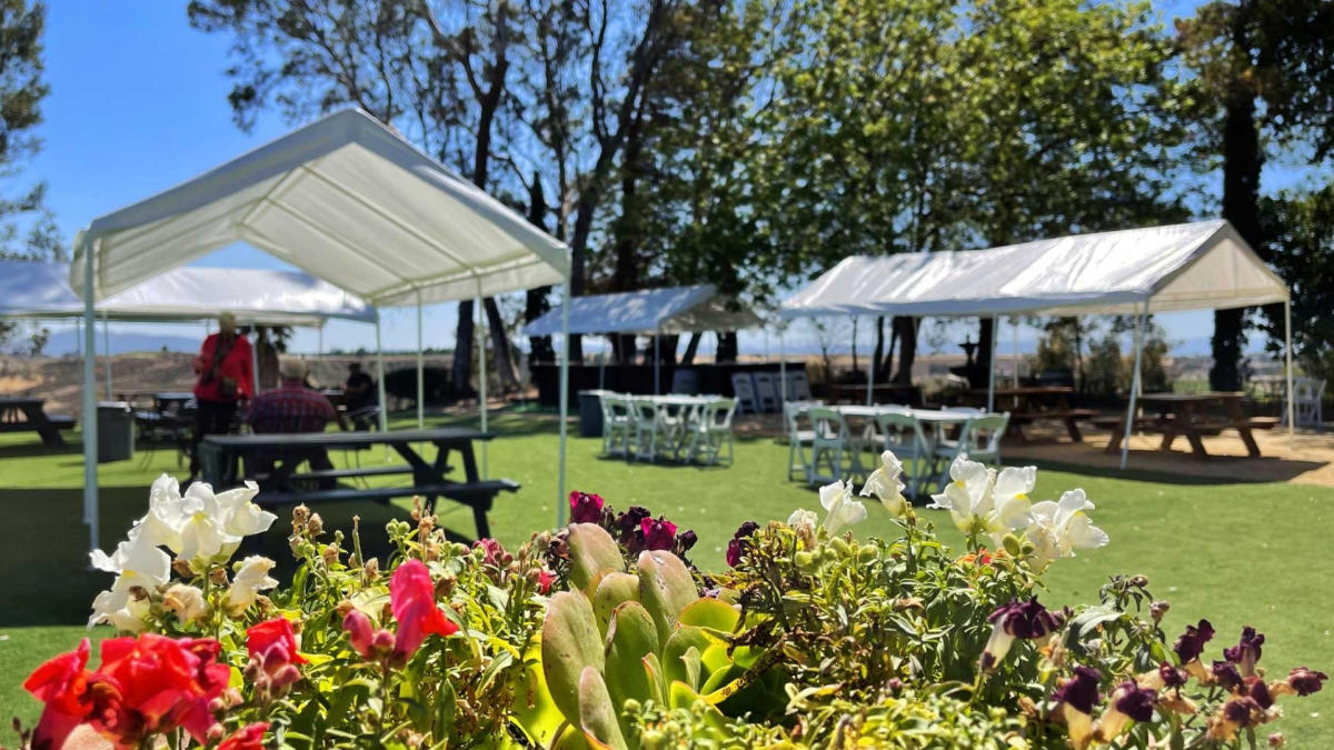 Falkner Winery | Temecula, CA