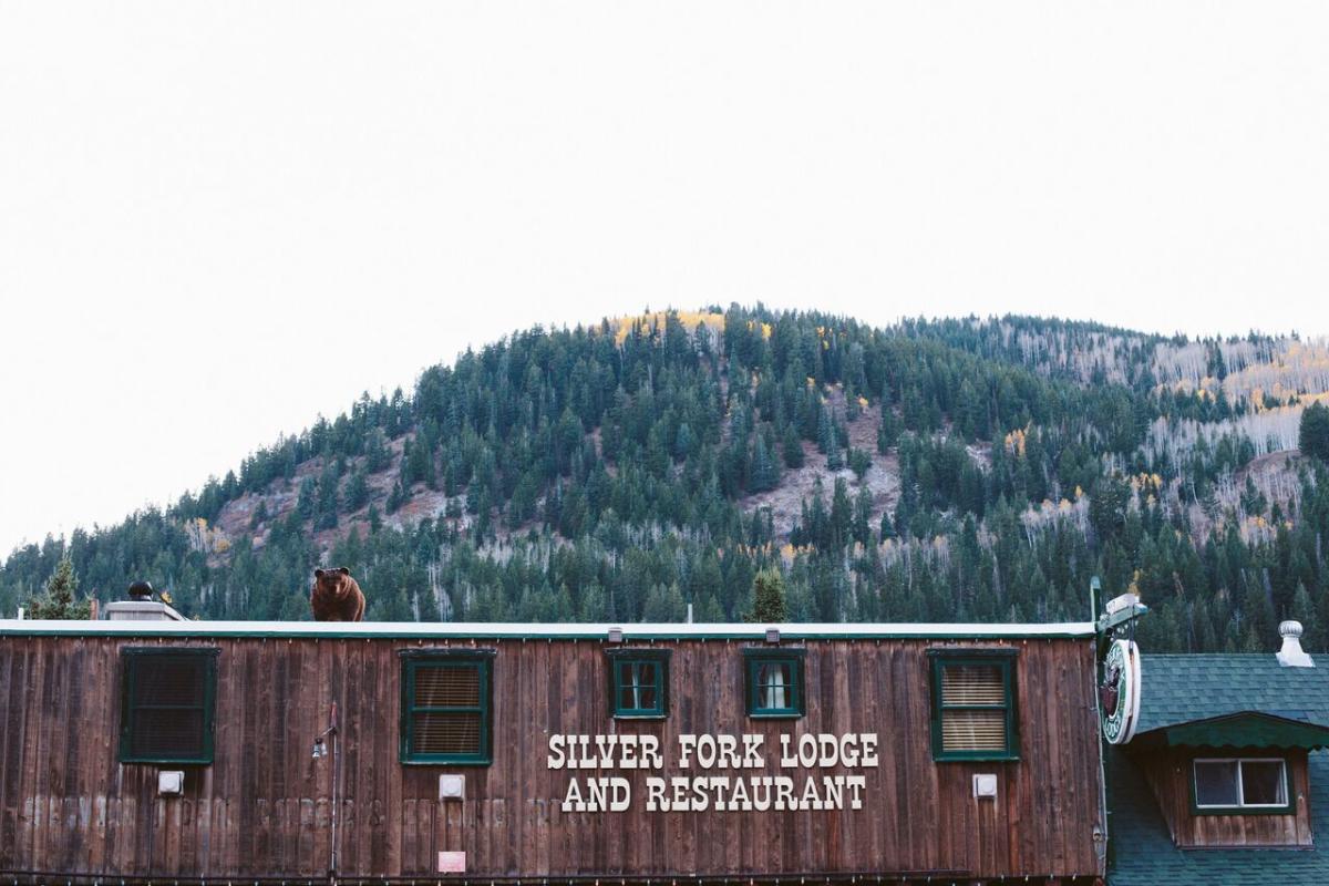 Silver Fork Lodge Restaurant