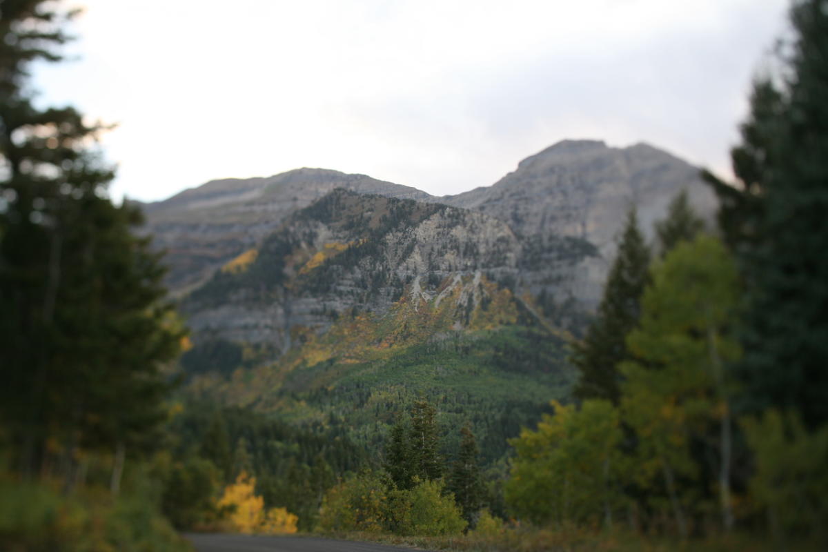 Alpine Loop Scenic Backway