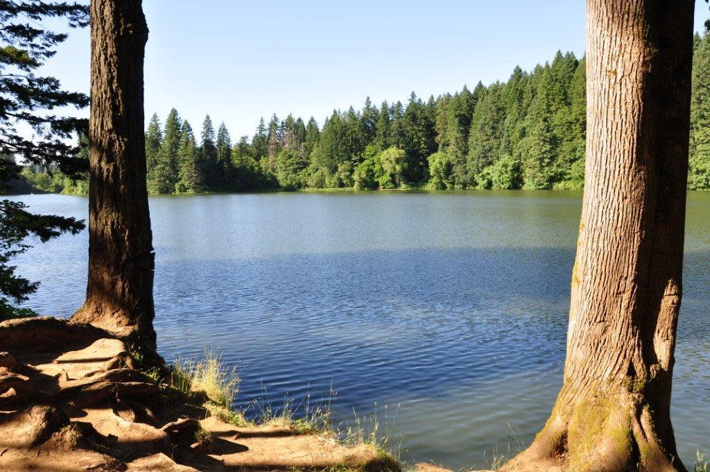 Lacamas Lake Park