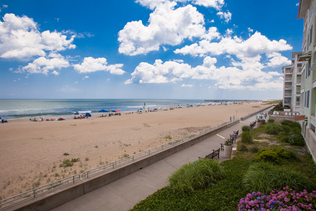 Sanctuary at False Cape