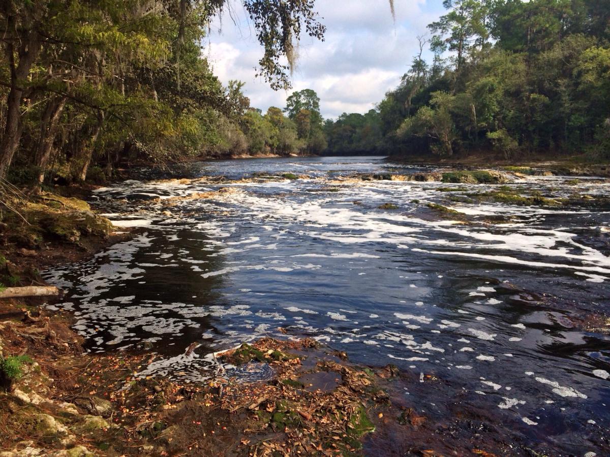 Lake City, Florida’s Springlands in Lake City | VISIT FLORIDA
