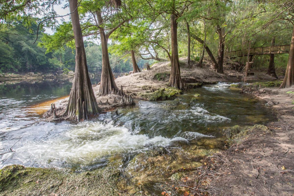 Lake City, Florida’s Springlands in Lake City | VISIT FLORIDA