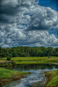 Lansbrook Golf Club in Palm Harbor | VISIT FLORIDA