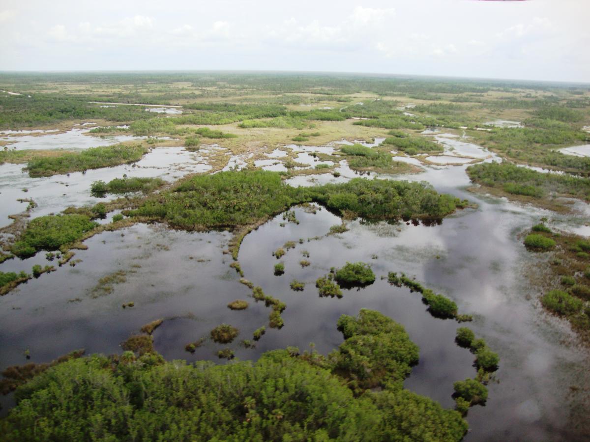 Ten Thousand Islands National Wildlife Refuge in Naples | VISIT FLORIDA