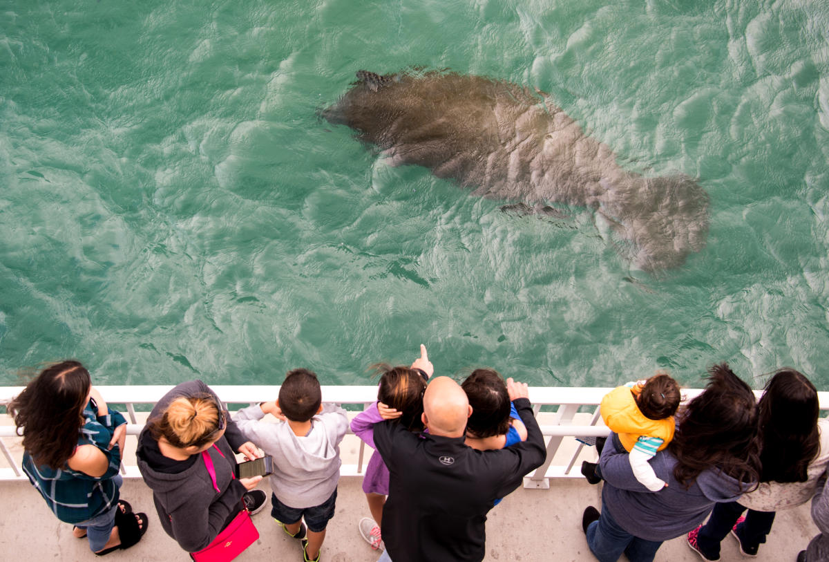 Manatee Lagoon - An FPL Eco-Discovery Center in West Palm Beach | VISIT ...