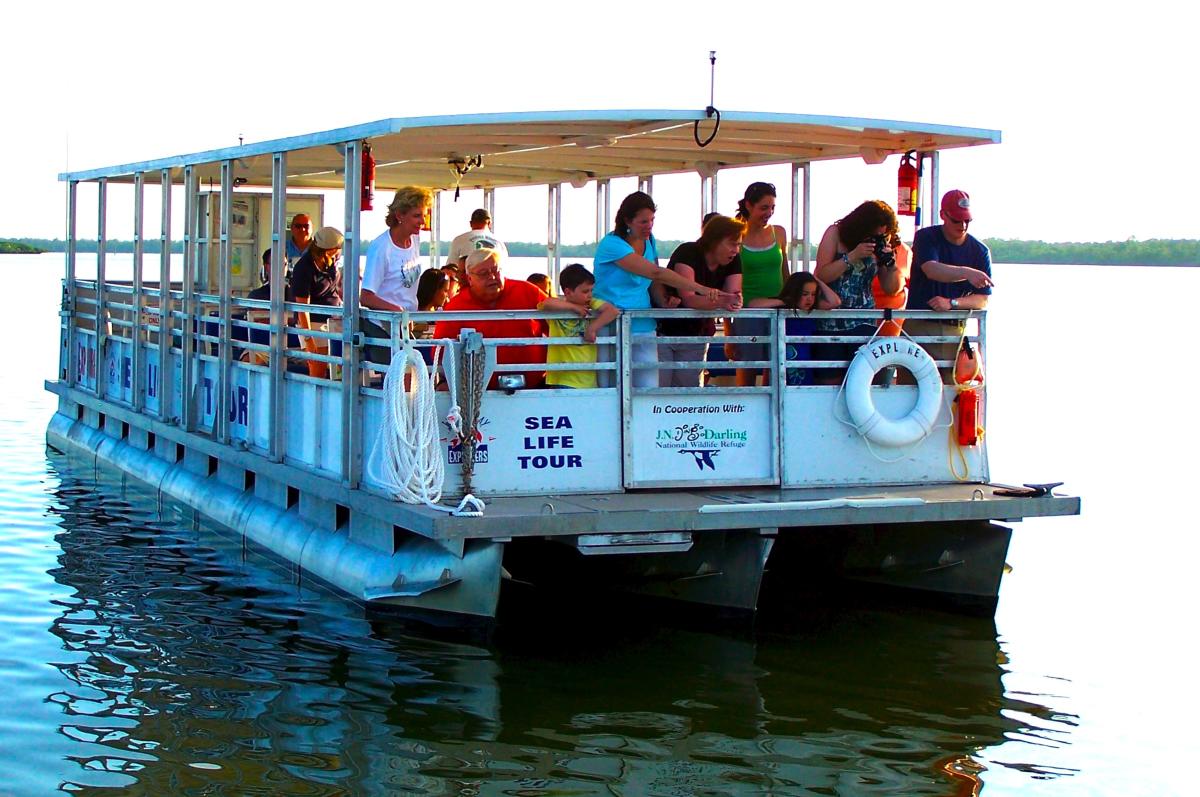 Tarpon Bay Explorers in Sanibel Island | VISIT FLORIDA