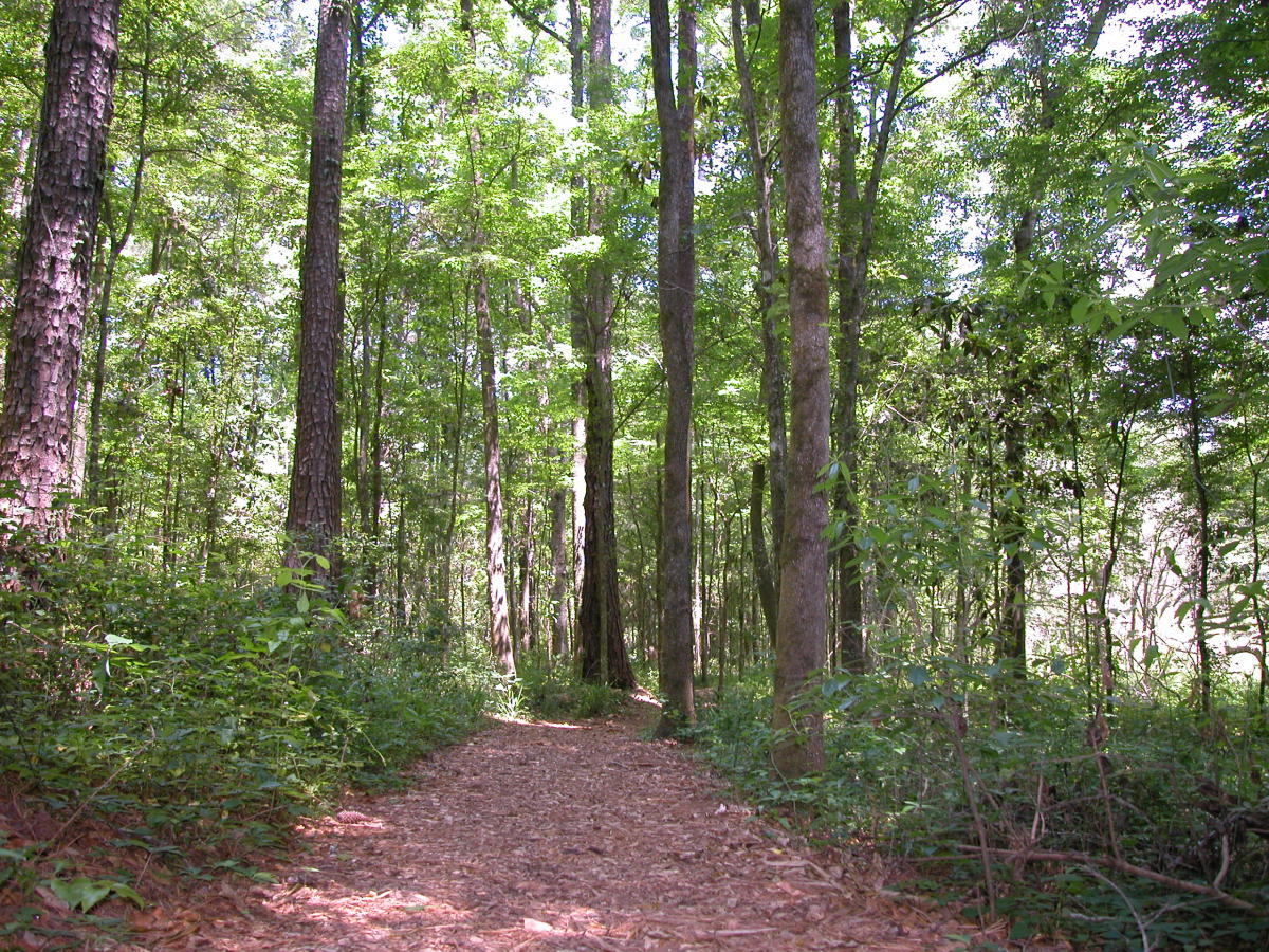 Lake Jackson Mounds Archaeological State Park in Tallahassee | VISIT ...