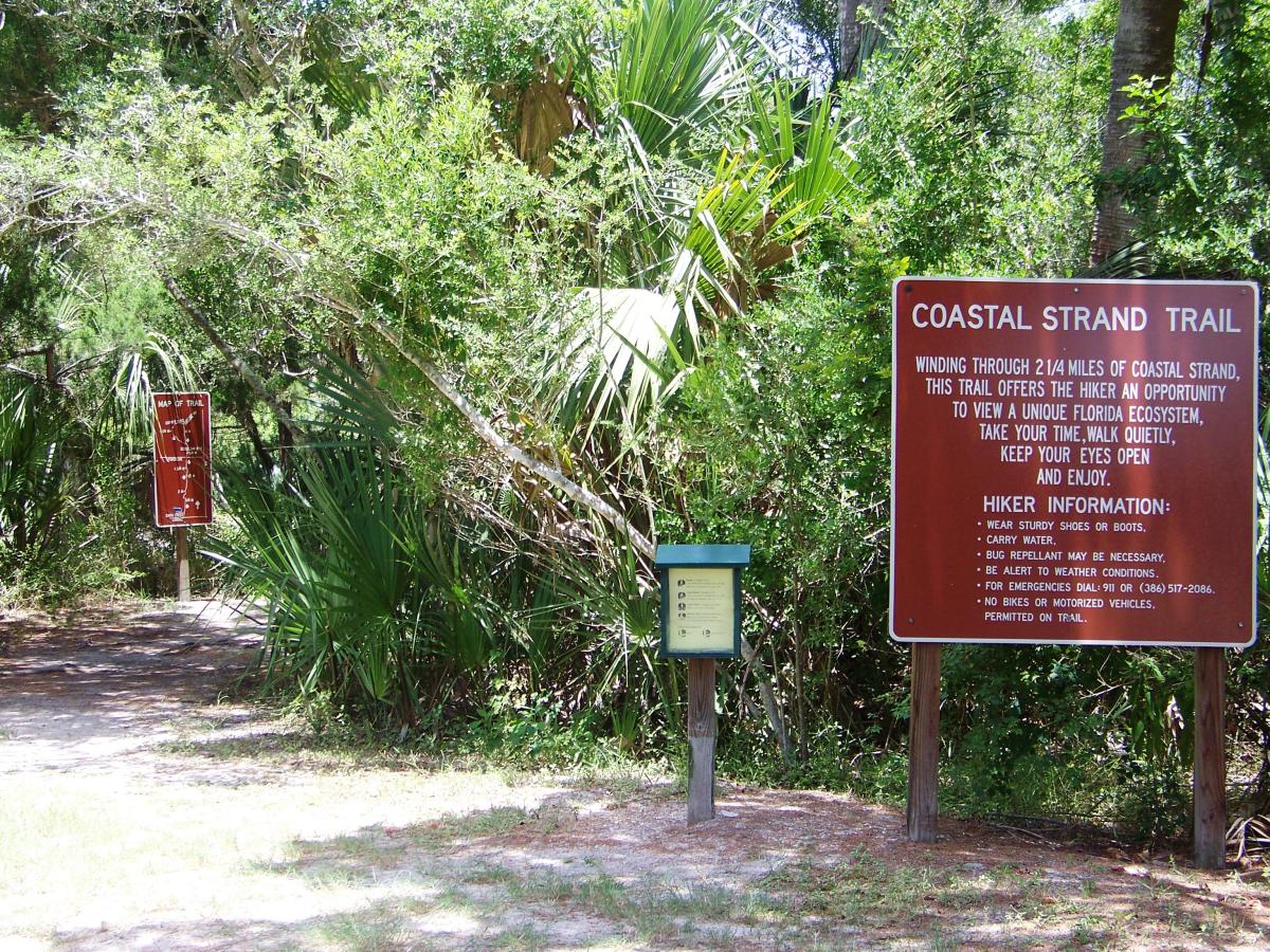 North Peninsula State Park in Ormond by the Sea | VISIT FLORIDA