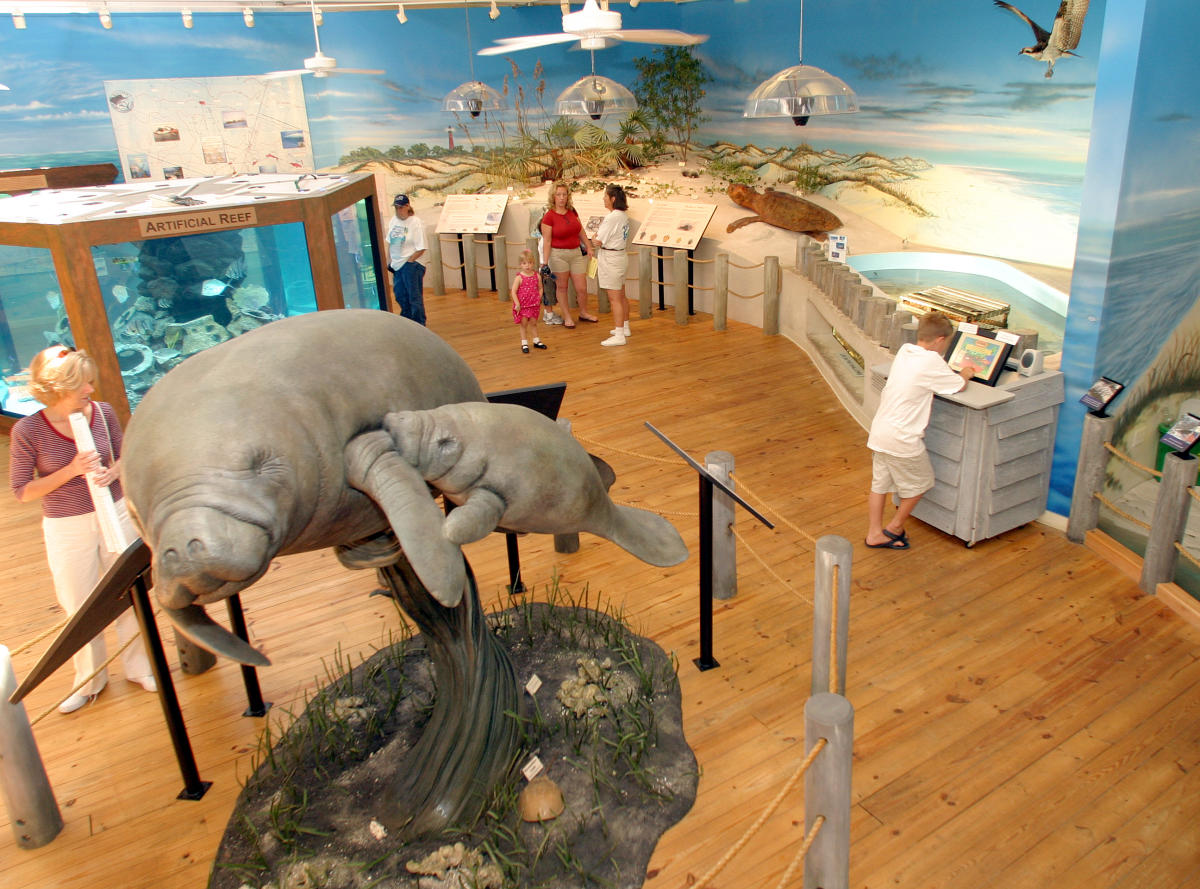 Marine Science Center in Ponce Inlet | VISIT FLORIDA