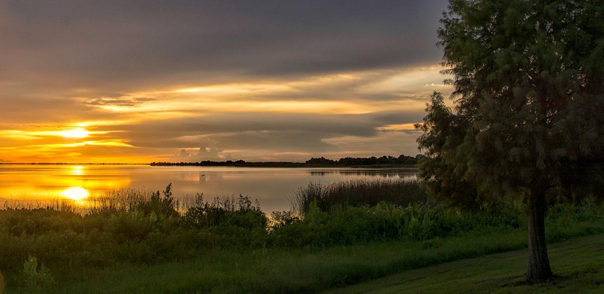 City of Apopka in Apopka | VISIT FLORIDA