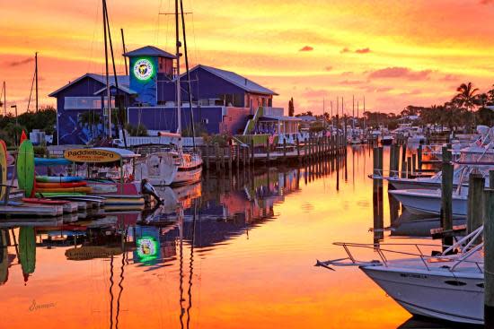 The Twisted Tuna in Stuart | VISIT FLORIDA