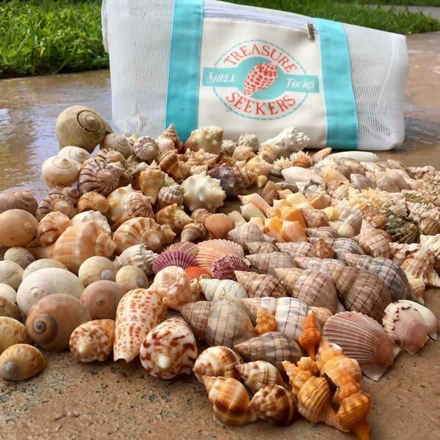 Treasure Seekers Shell Tours in Marco Island | VISIT FLORIDA