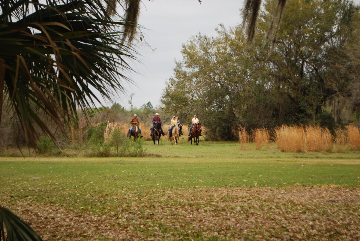 Visit DeSoto in Arcadia | VISIT FLORIDA