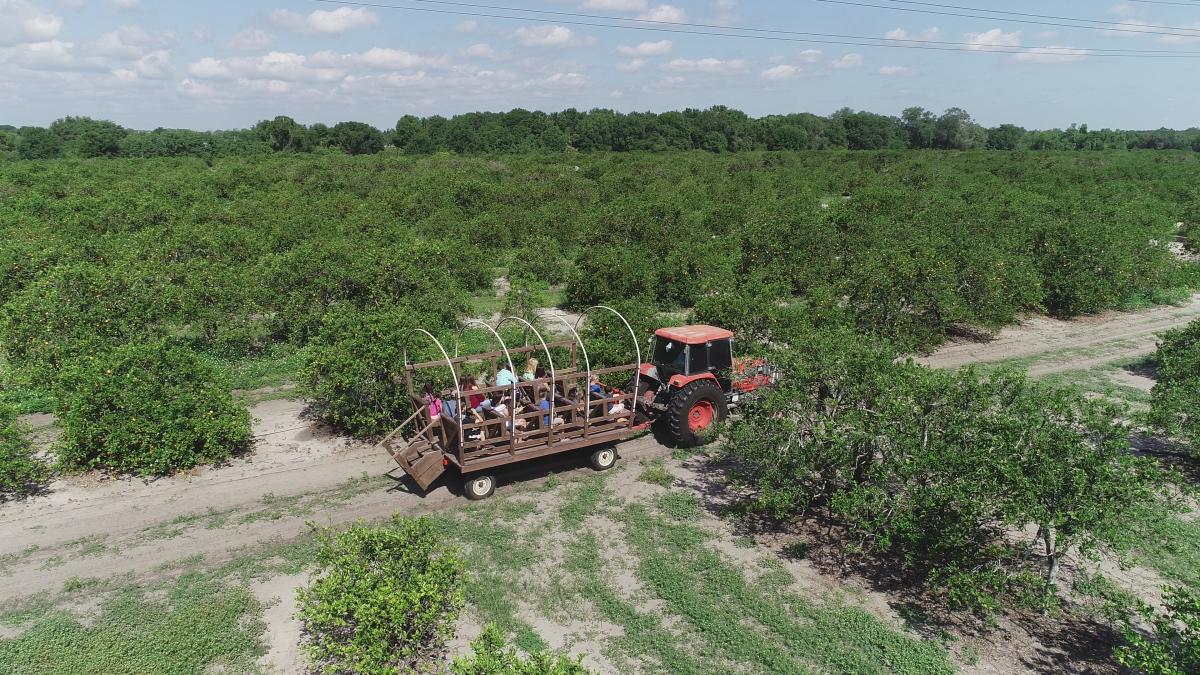 Visit DeSoto in Arcadia | VISIT FLORIDA