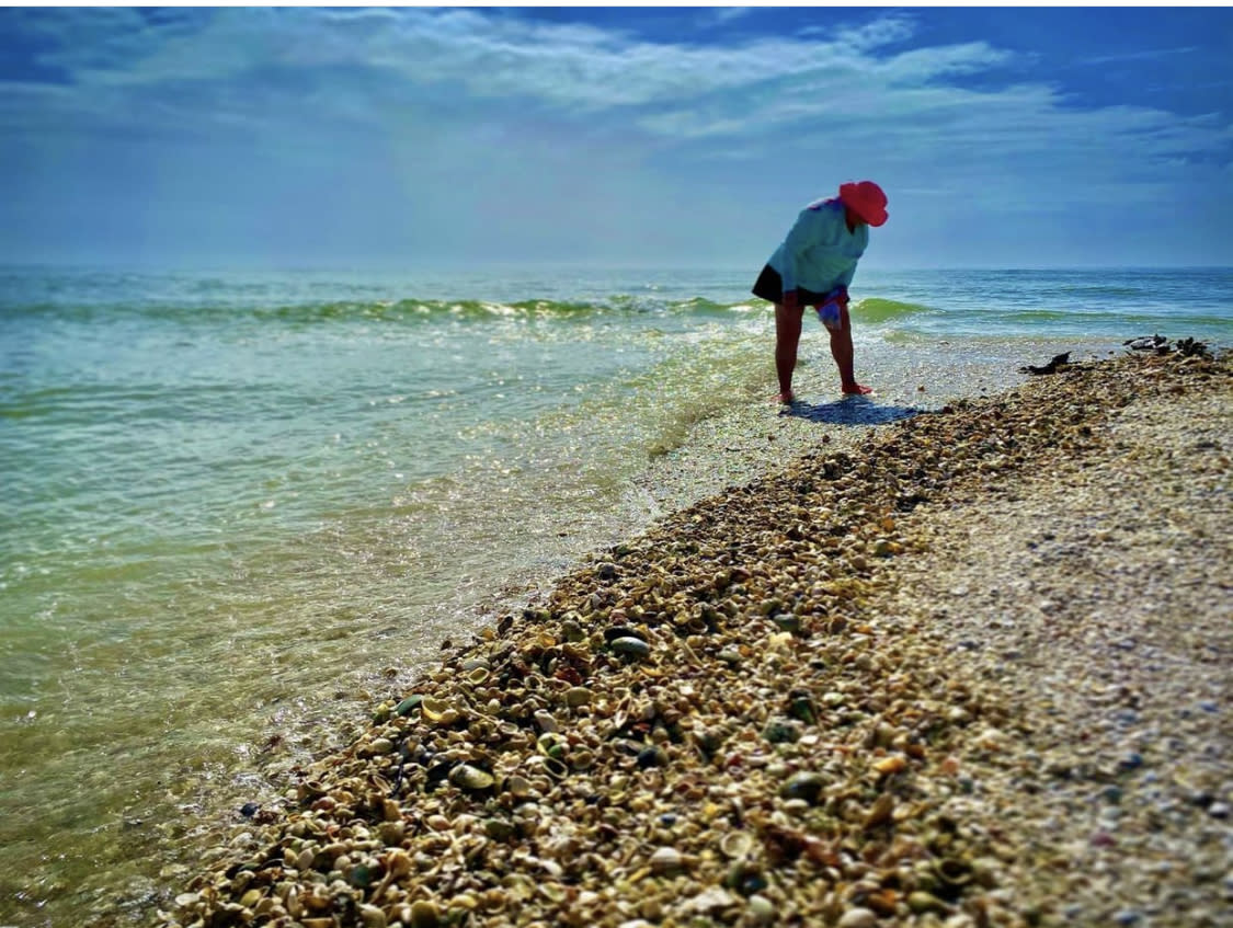 Treasure Seekers Shell Tours in Marco Island | VISIT FLORIDA