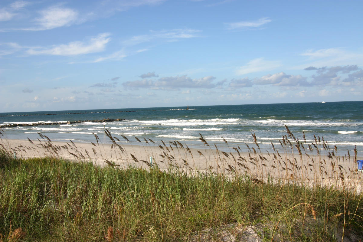 New Smyrna Beach Area Visitors Bureau in New Smyrna Beach | VISIT FLORIDA