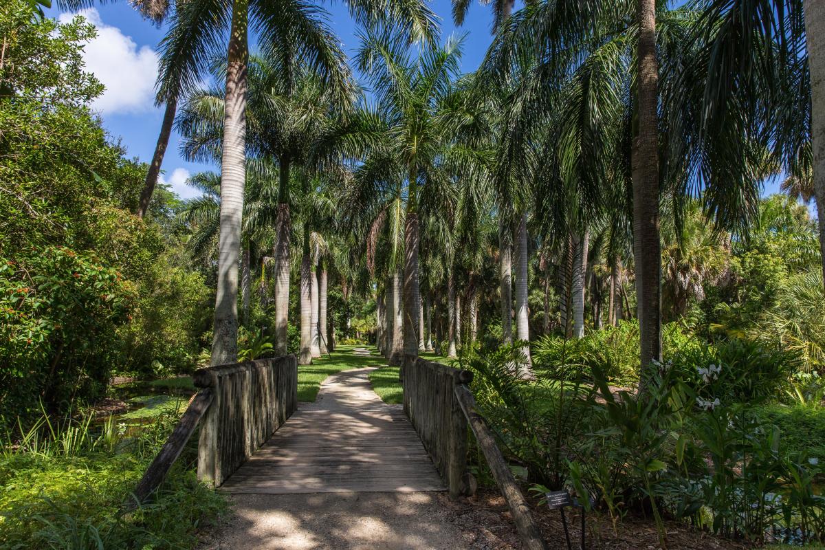 McKee Botanical Garden in Vero Beach | VISIT FLORIDA