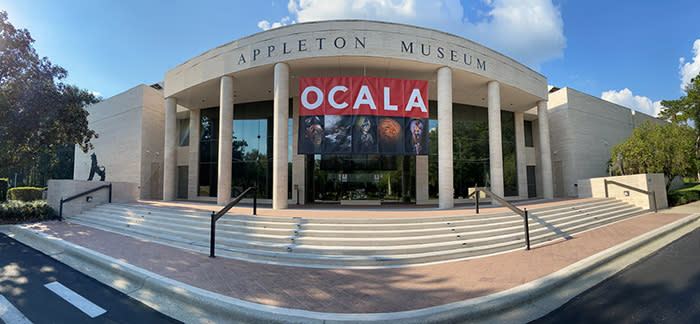 Appleton Museum of Art in Ocala | VISIT FLORIDA