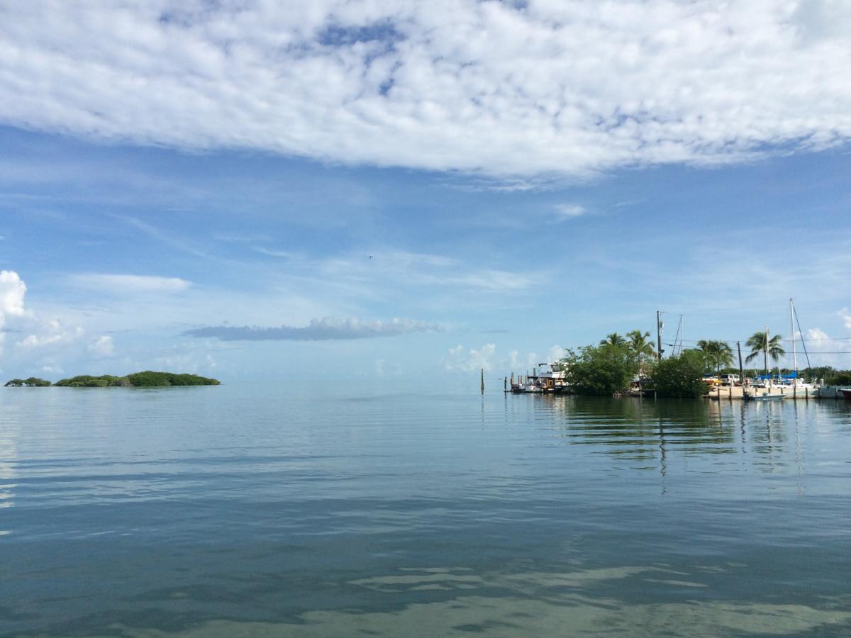 Captain Pip's Marina & Hideaway in Marathon | VISIT FLORIDA