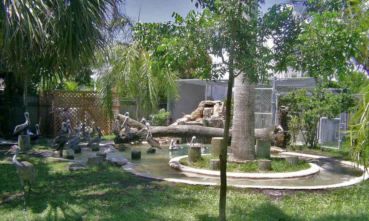 Peace River Wildlife Center in Punta Gorda | VISIT FLORIDA