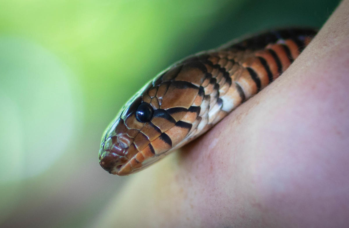 Santa Fe College Teaching Zoo in Gainesville | VISIT FLORIDA