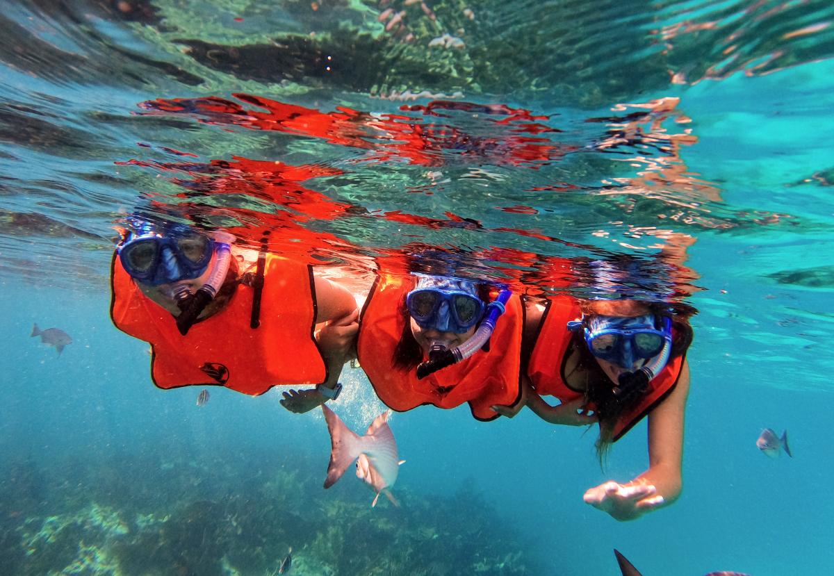 Silent World Dive Center in Key Largo | VISIT FLORIDA