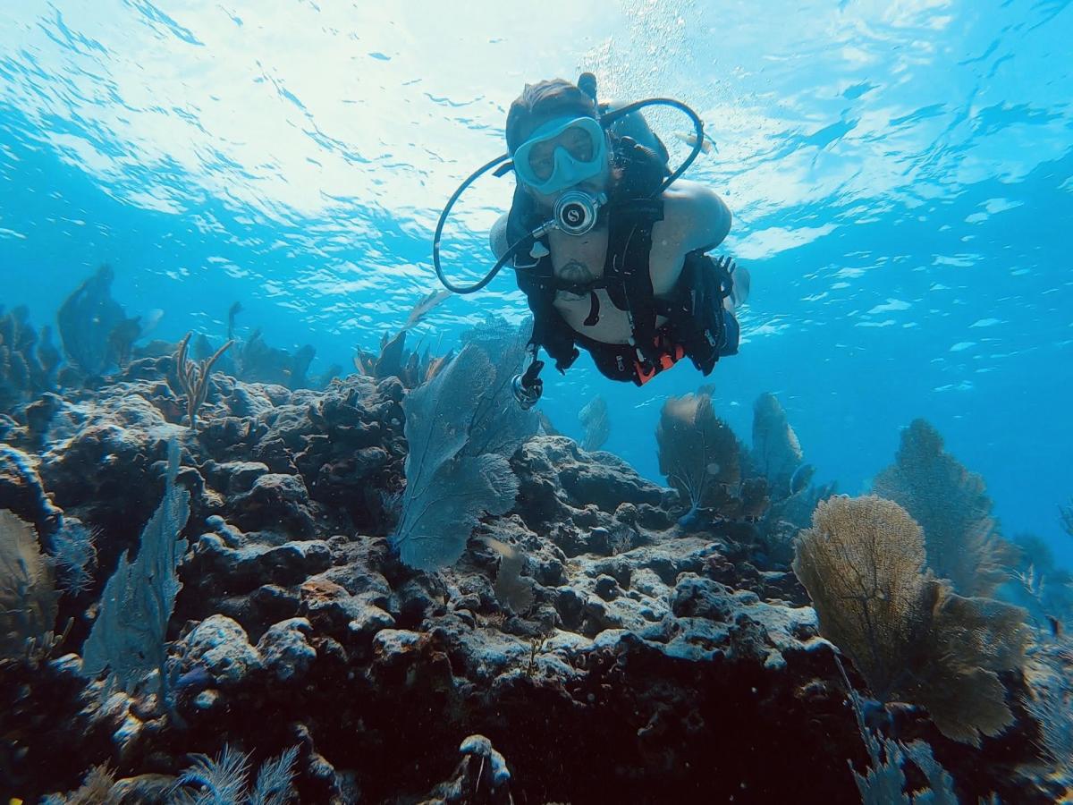 Silent World Dive Center in Key Largo | VISIT FLORIDA