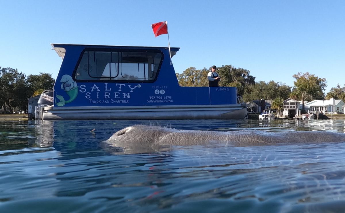 Salty Siren Tours and Charters in Crystal River | VISIT FLORIDA