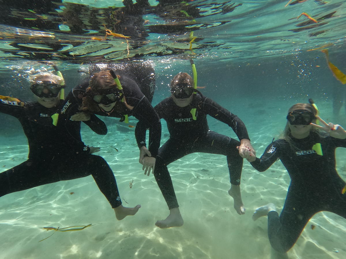 Salty Siren Tours and Charters in Crystal River | VISIT FLORIDA