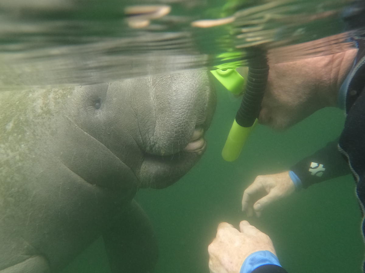 Salty Siren Tours and Charters in Crystal River | VISIT FLORIDA