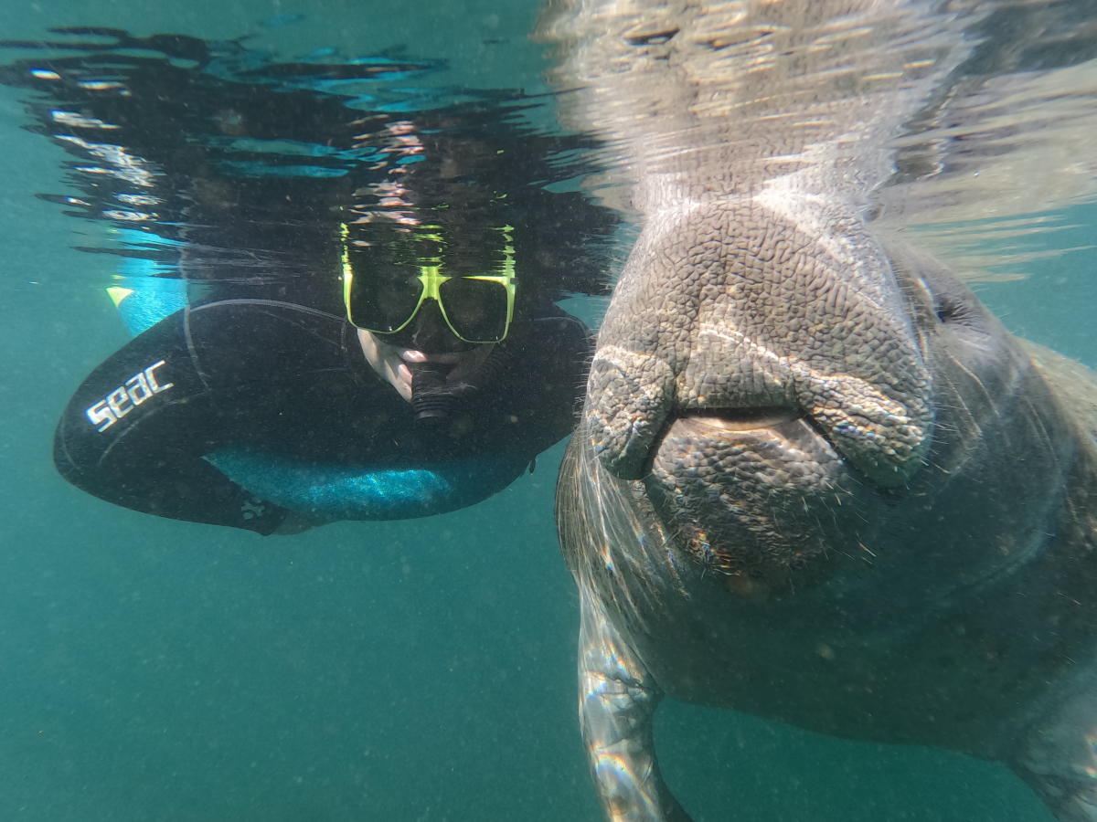 Salty Siren Tours and Charters in Crystal River | VISIT FLORIDA