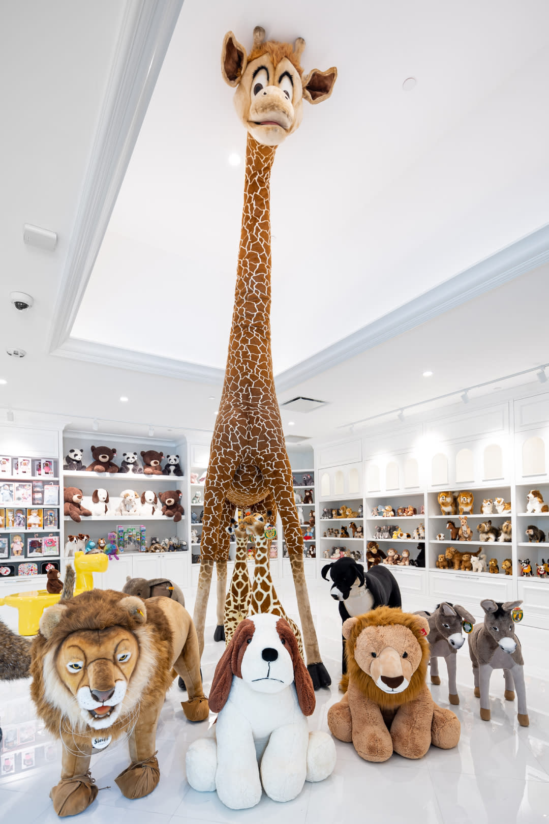 Mr. Pickles & Sailor Bear Toy Shoppe in Ocala | VISIT FLORIDA